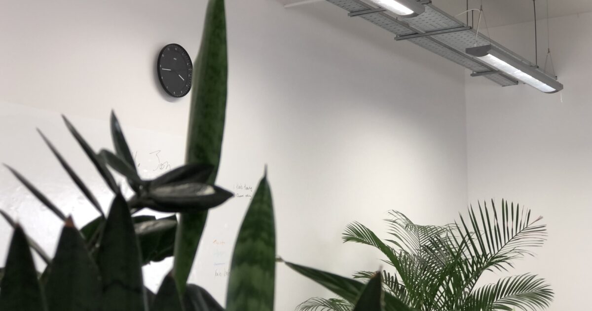 Cogapp | Join our team